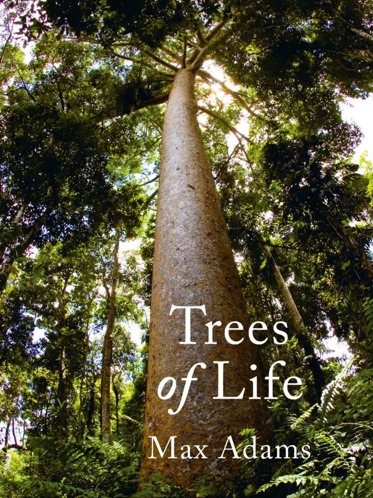 The Ambulist | the website for author Max Adams